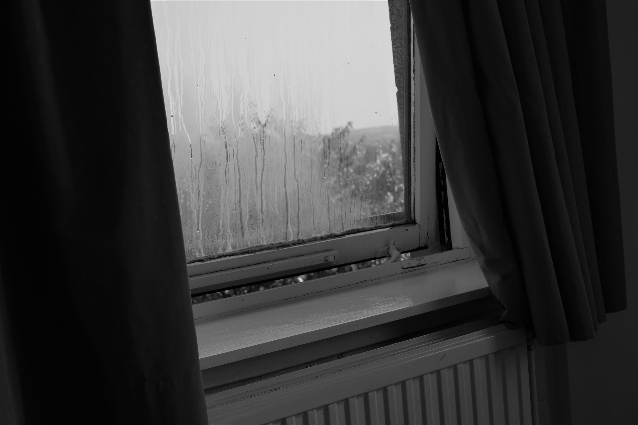 What is Funzel? - DIE FUNZEL